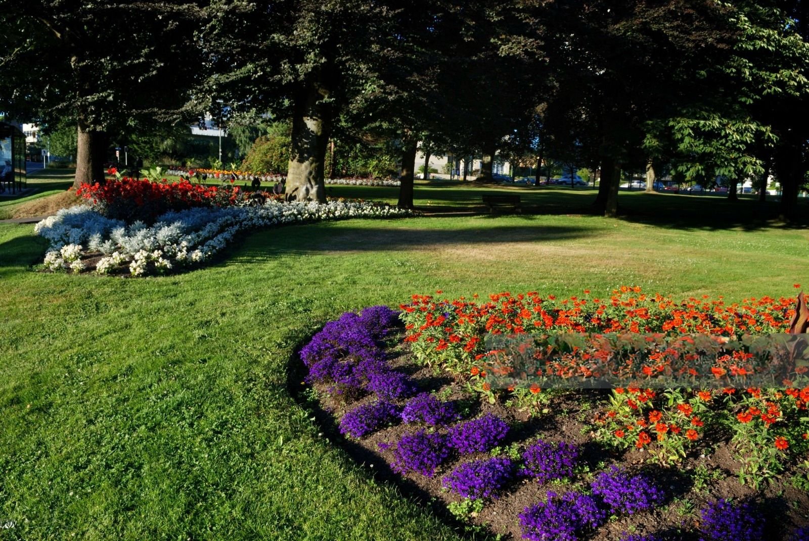 Seasonal Services - The BackyarDream Landscaping